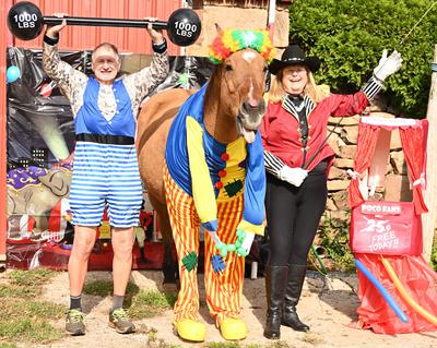 Life is a Circus, Enjoy the Show!