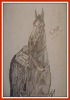 Awesome Horse Drawings