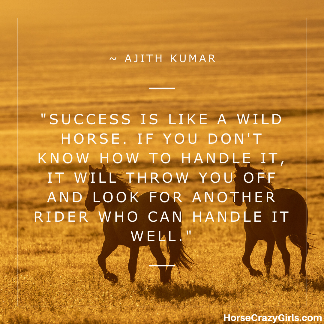 Wild Horses Quotes What It Takes To Tame A Wild Horse People's Daily